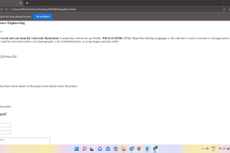 MY Profile | Devpost