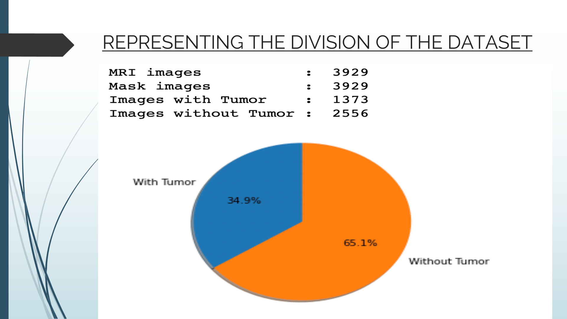 Brain Tumour Segmentation Devpost