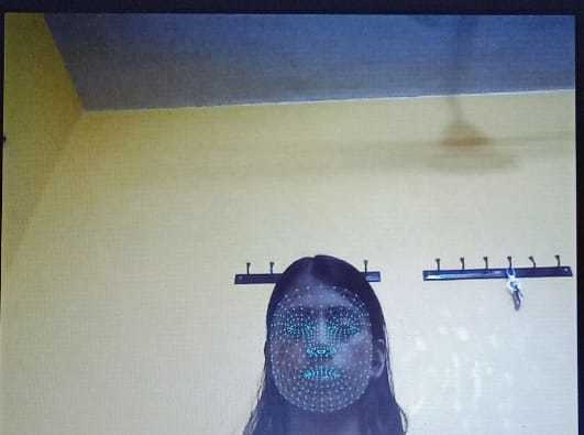 Facial Landmark Recognition | Devpost