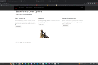 Interactive graphical website (statefarm) | Devpost