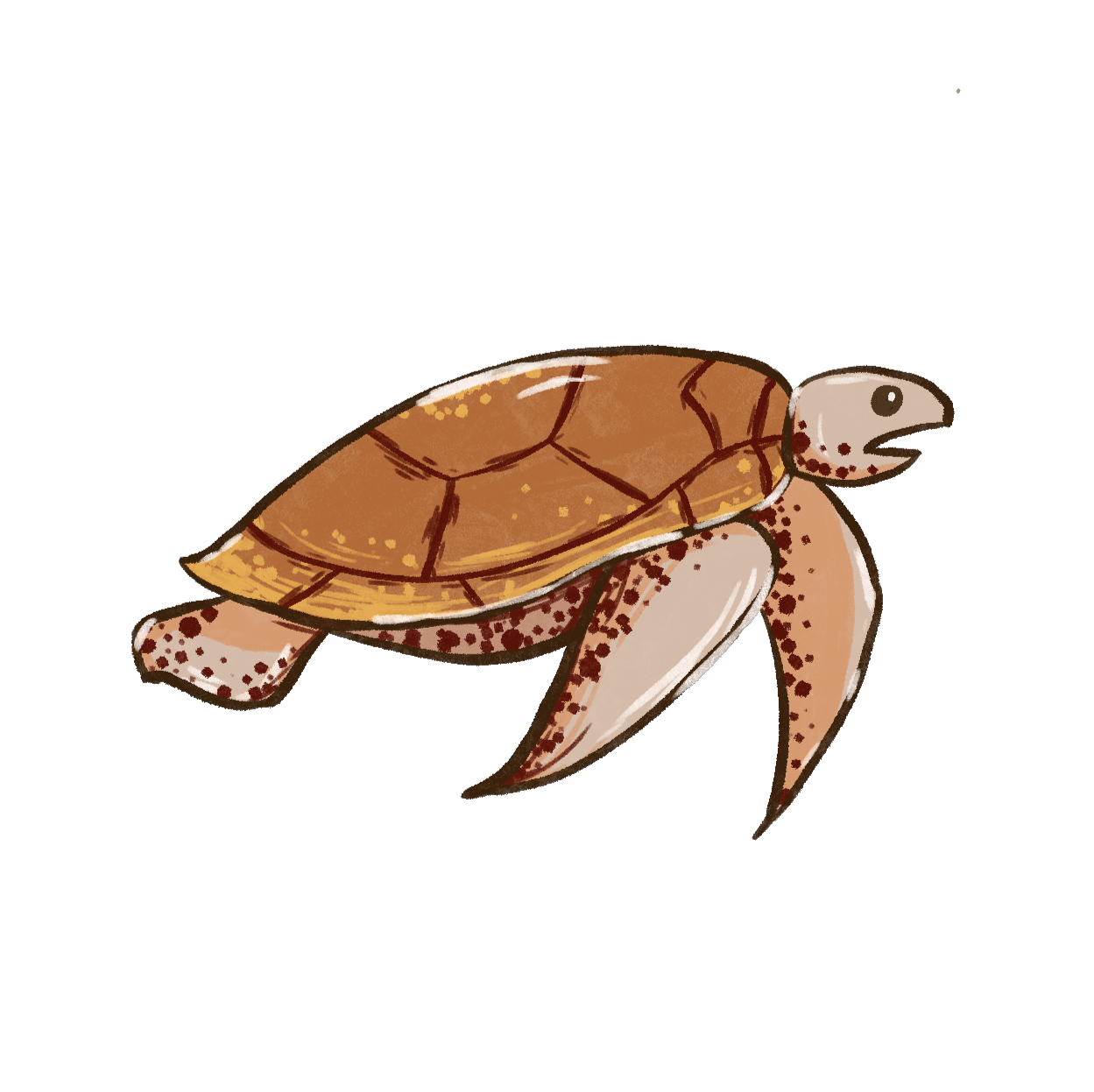 Save the Turtles | Devpost
