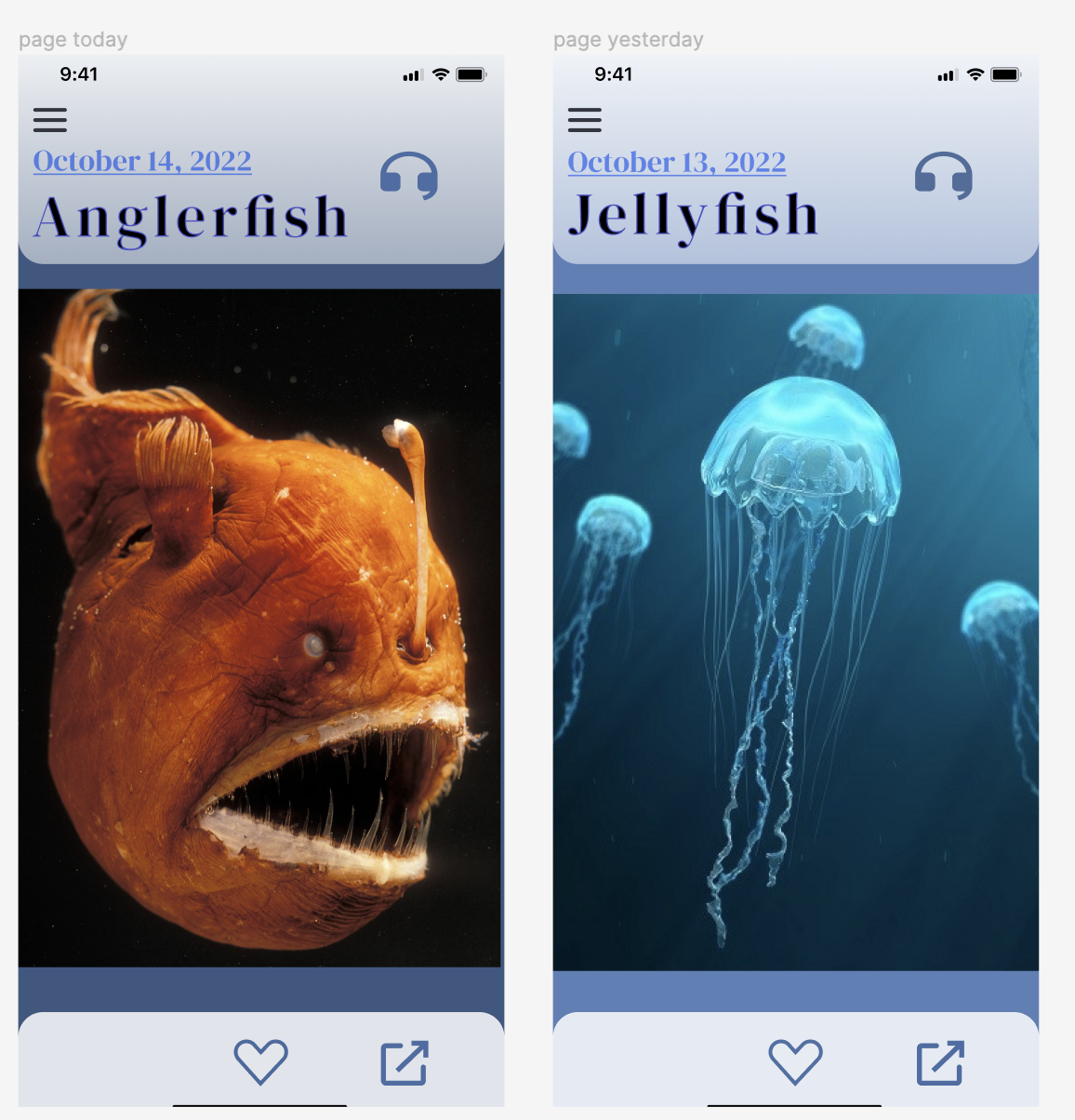 Daily Marine Life | Devpost