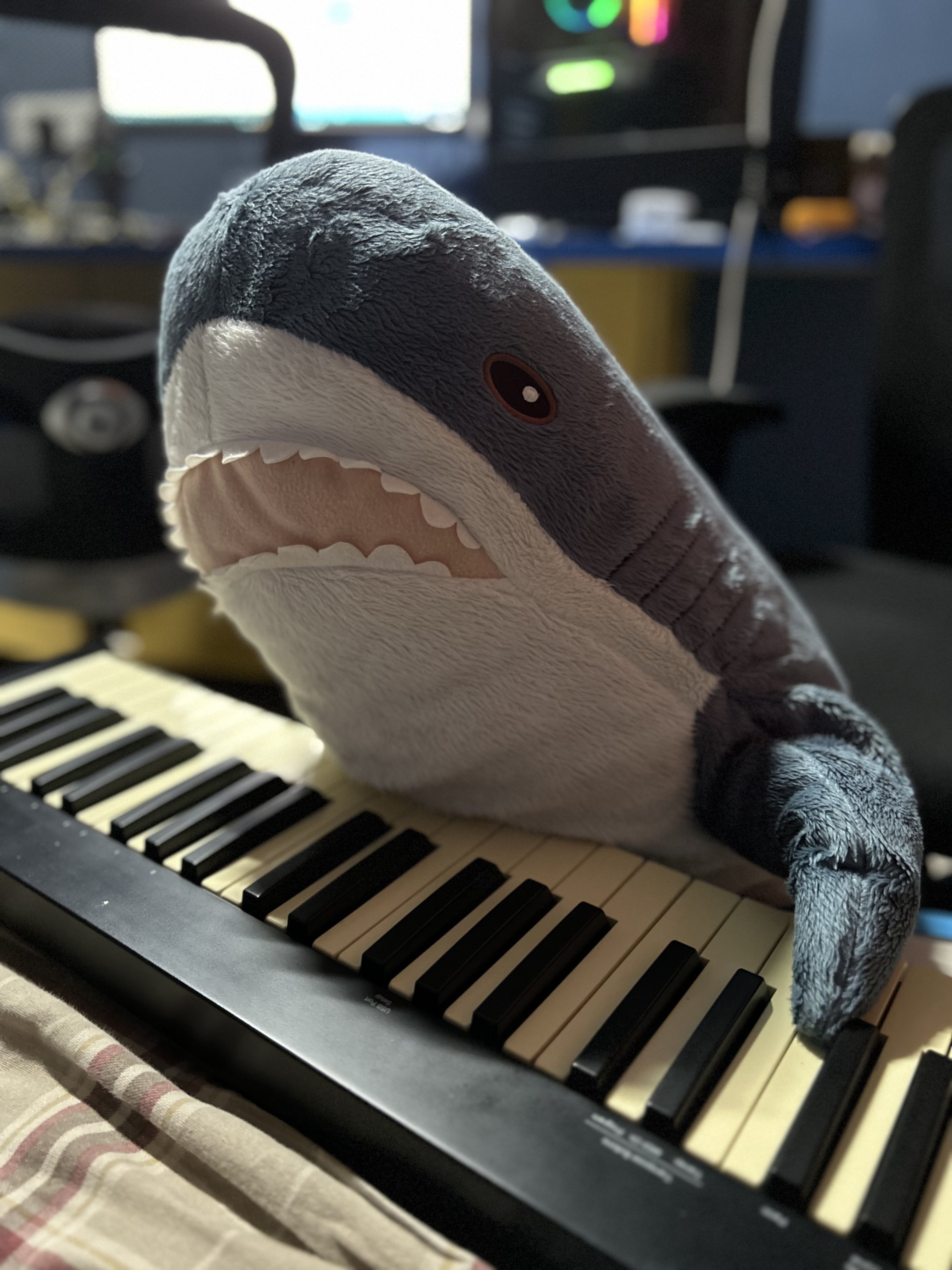 Analog Sea | Devpost