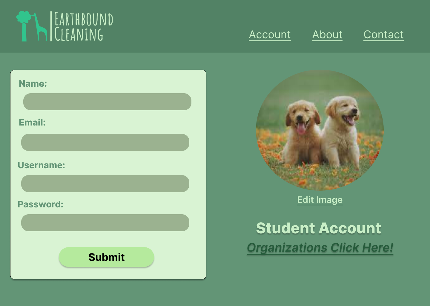 EarthBound Cleaning | Devpost