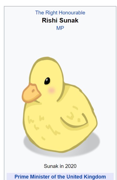 Ducktor - Your Adorable Web Companion | Devpost