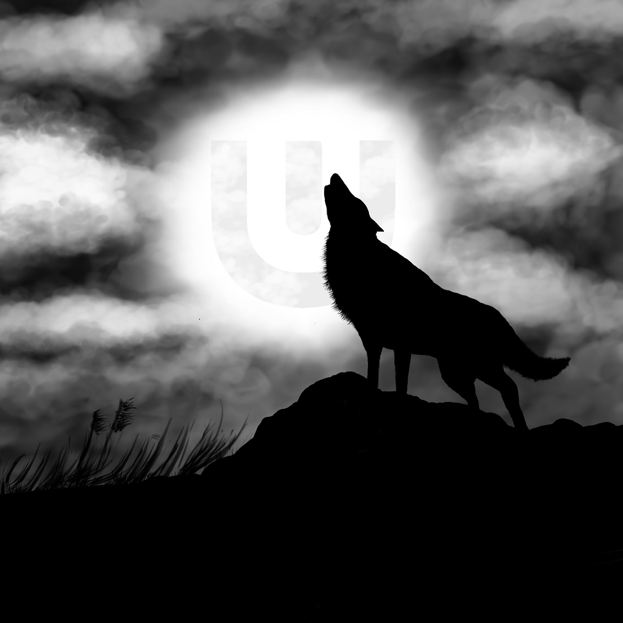 Ultra Sky Profile Pictures | Devpost