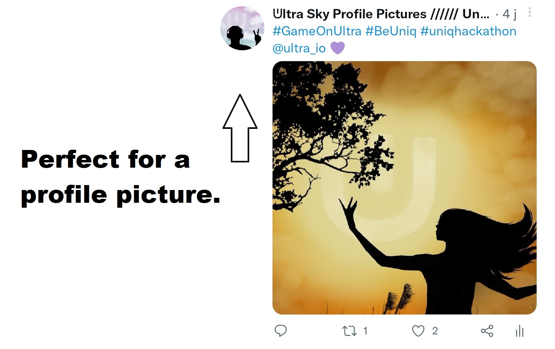 Ultra Sky Profile Pictures | Devpost