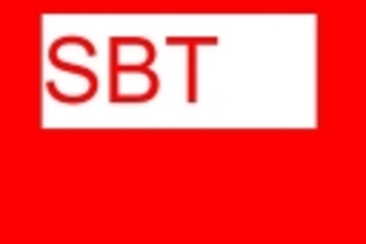 SBT - Collective Experiences | Devpost