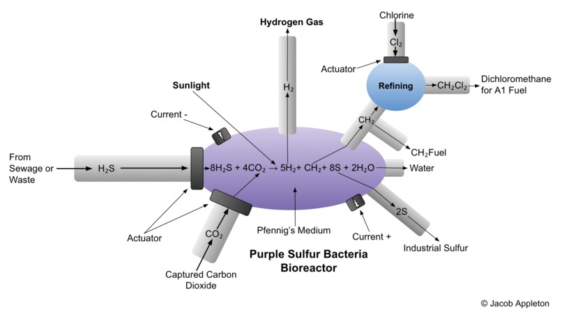 Purple Hydrogen | Devpost