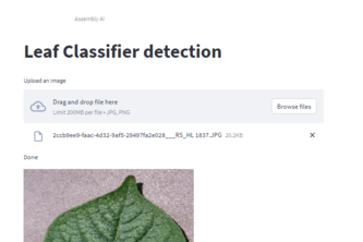 Leaf Classification App | Devpost