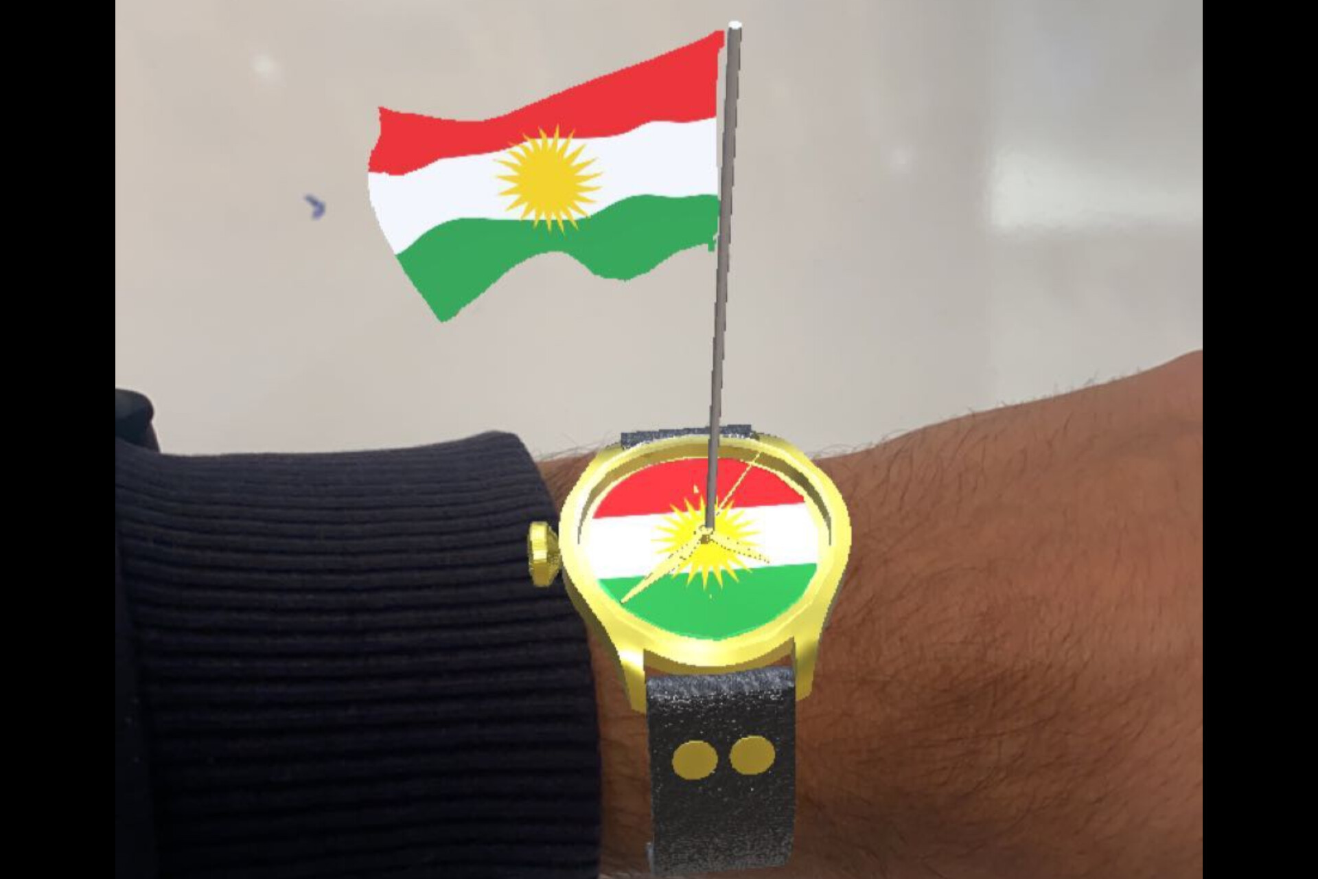 Flag Watch | Devpost