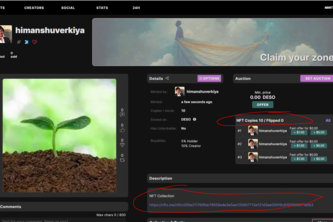 NFT Collection | Devpost