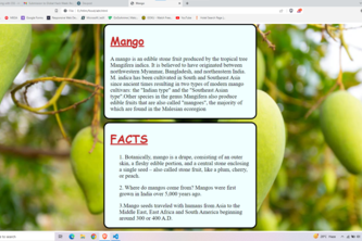 mango the fav fruit | Devpost