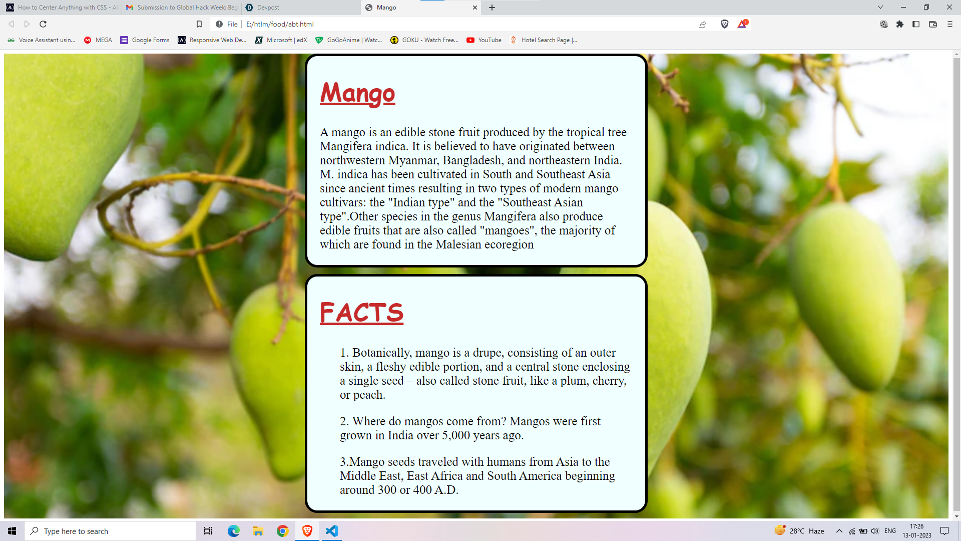 mango the fav fruit | Devpost