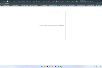 Set up a website with a custom GoDaddy Registry domain name! | Devpost