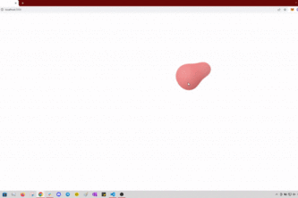 Finding and Using Libraries | Devpost