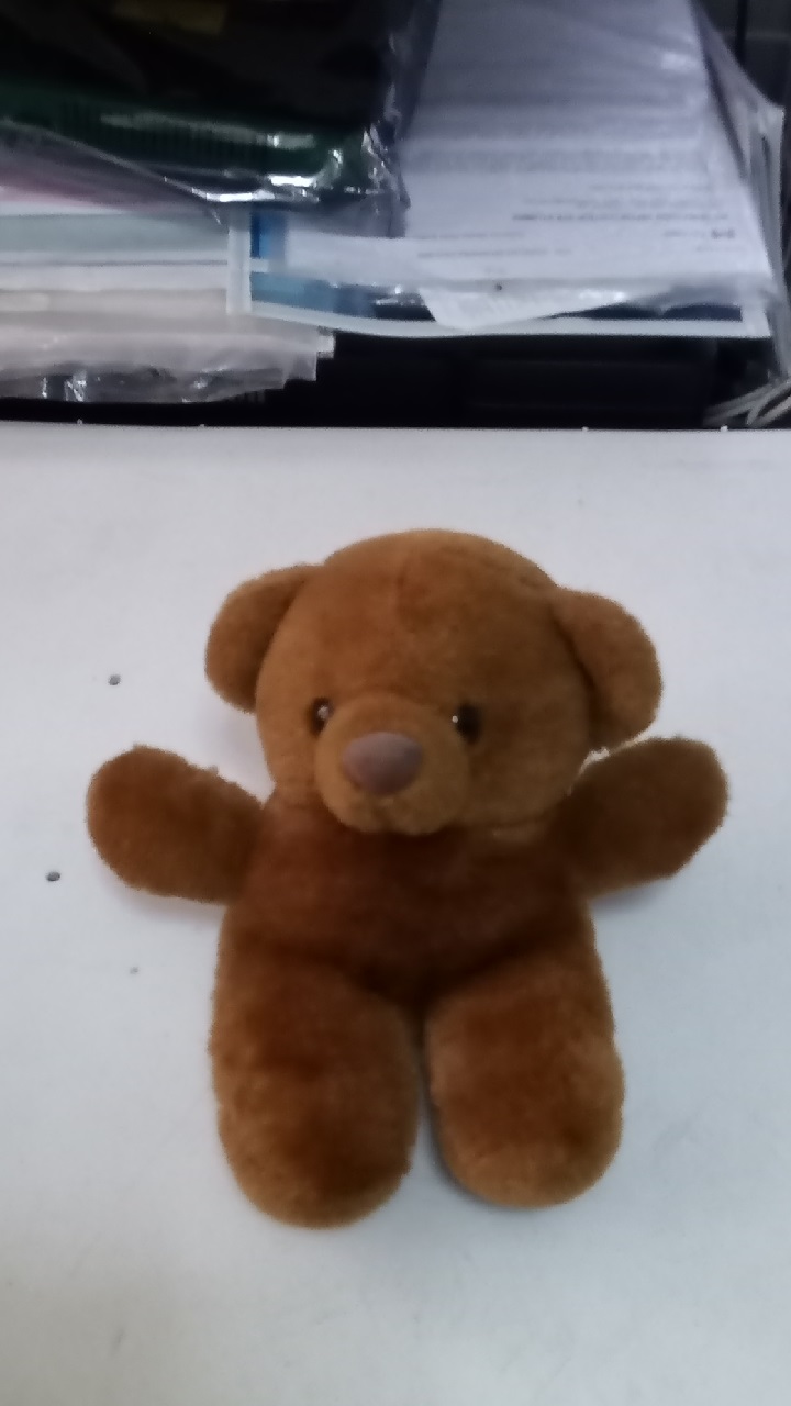 Rainbow Teddy Bear | Devpost