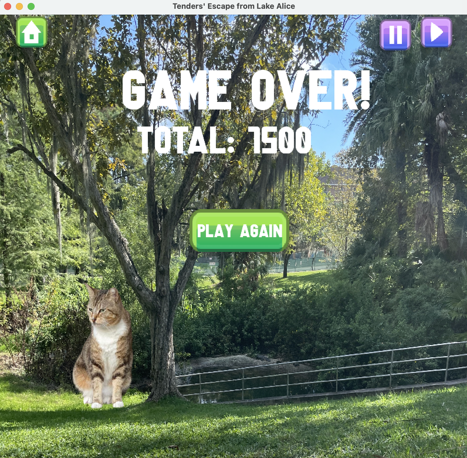 Tenders' Escape from Lake Alice | Devpost