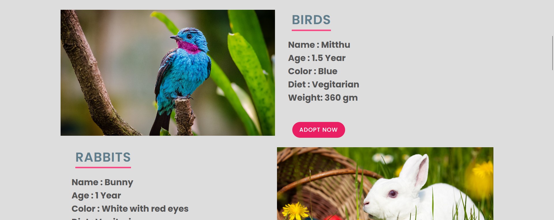 Pet For All | Devpost