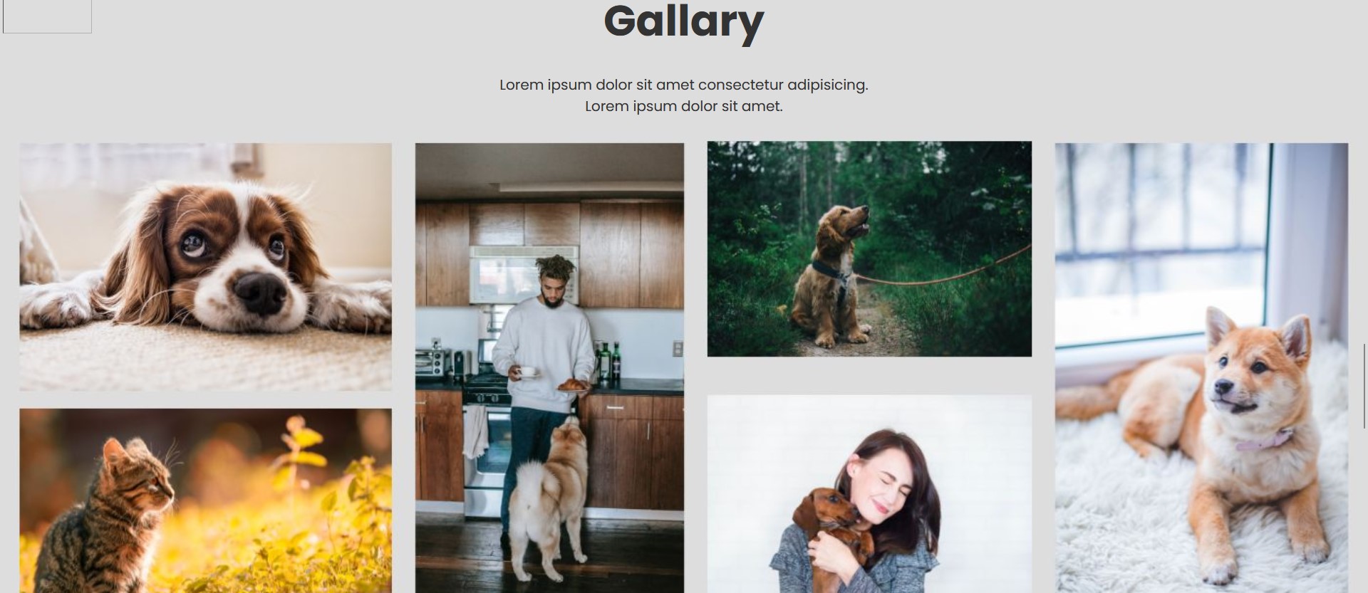 Pet For All | Devpost