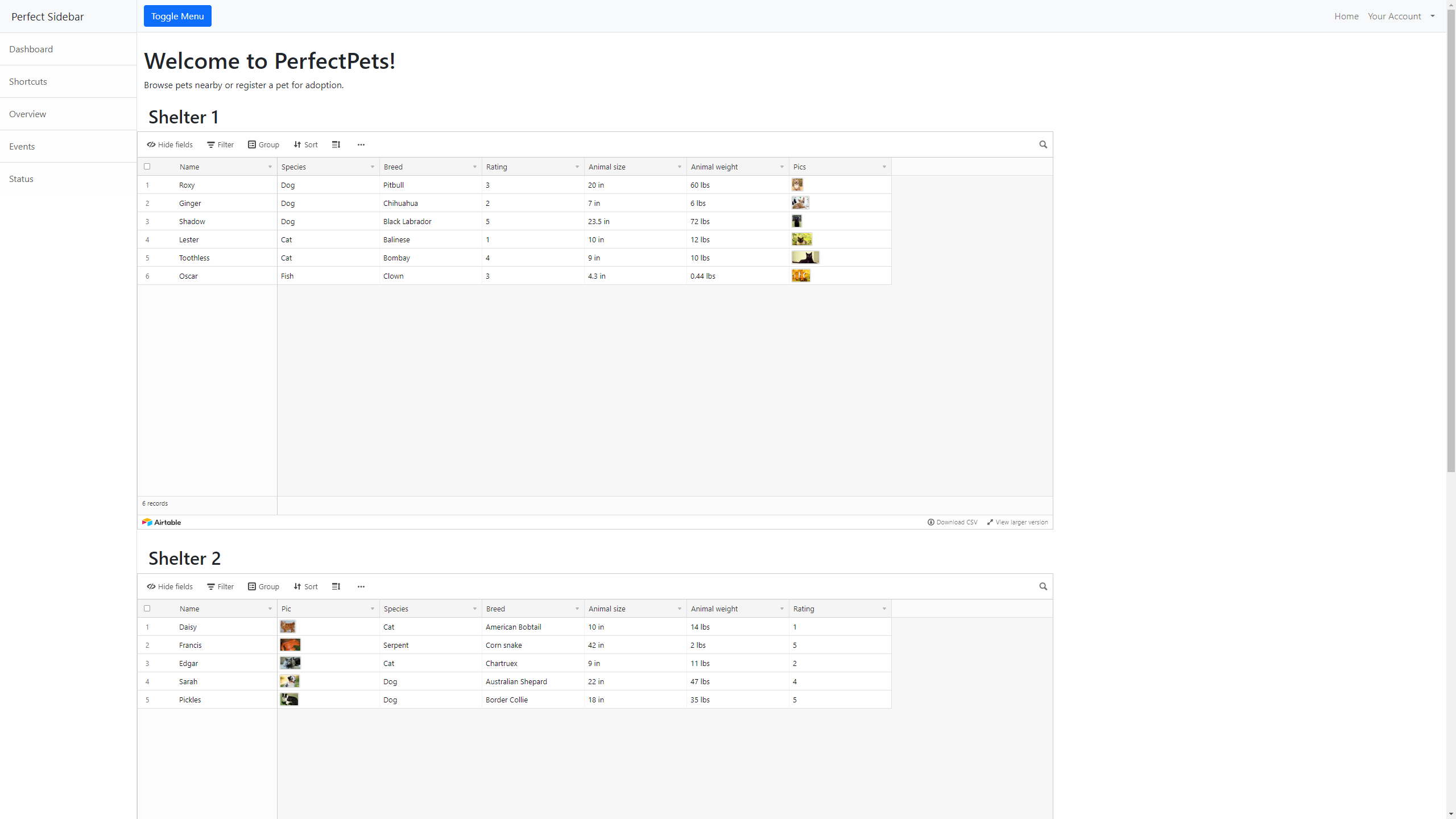 Perfect Pets | Devpost