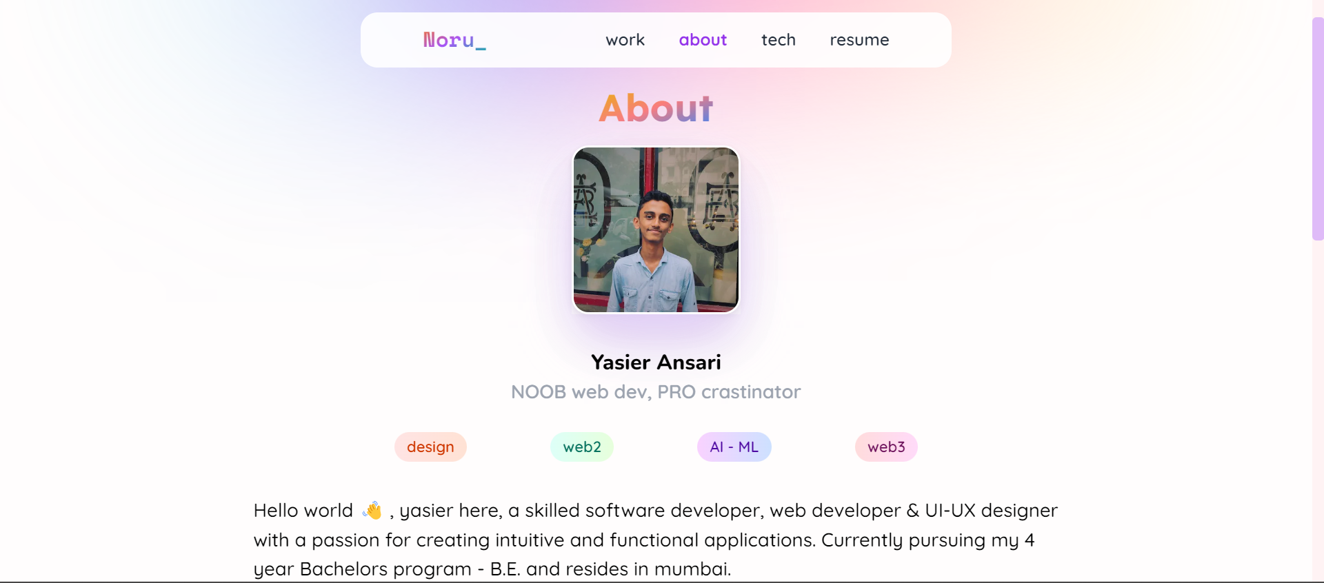 My portfolio brand kit | Devpost