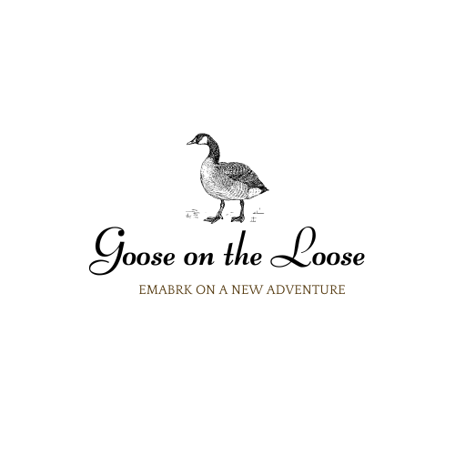 Goose on the Loose | Devpost