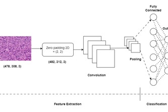 Brain Tumor Histology Algorithm | Devpost