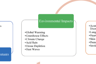 deforestation | Devpost