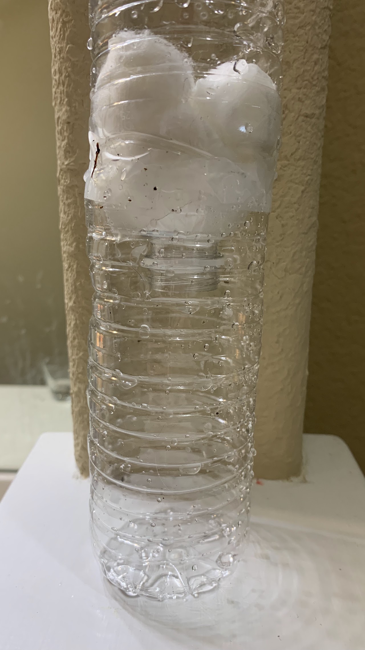 Water Quality | Devpost