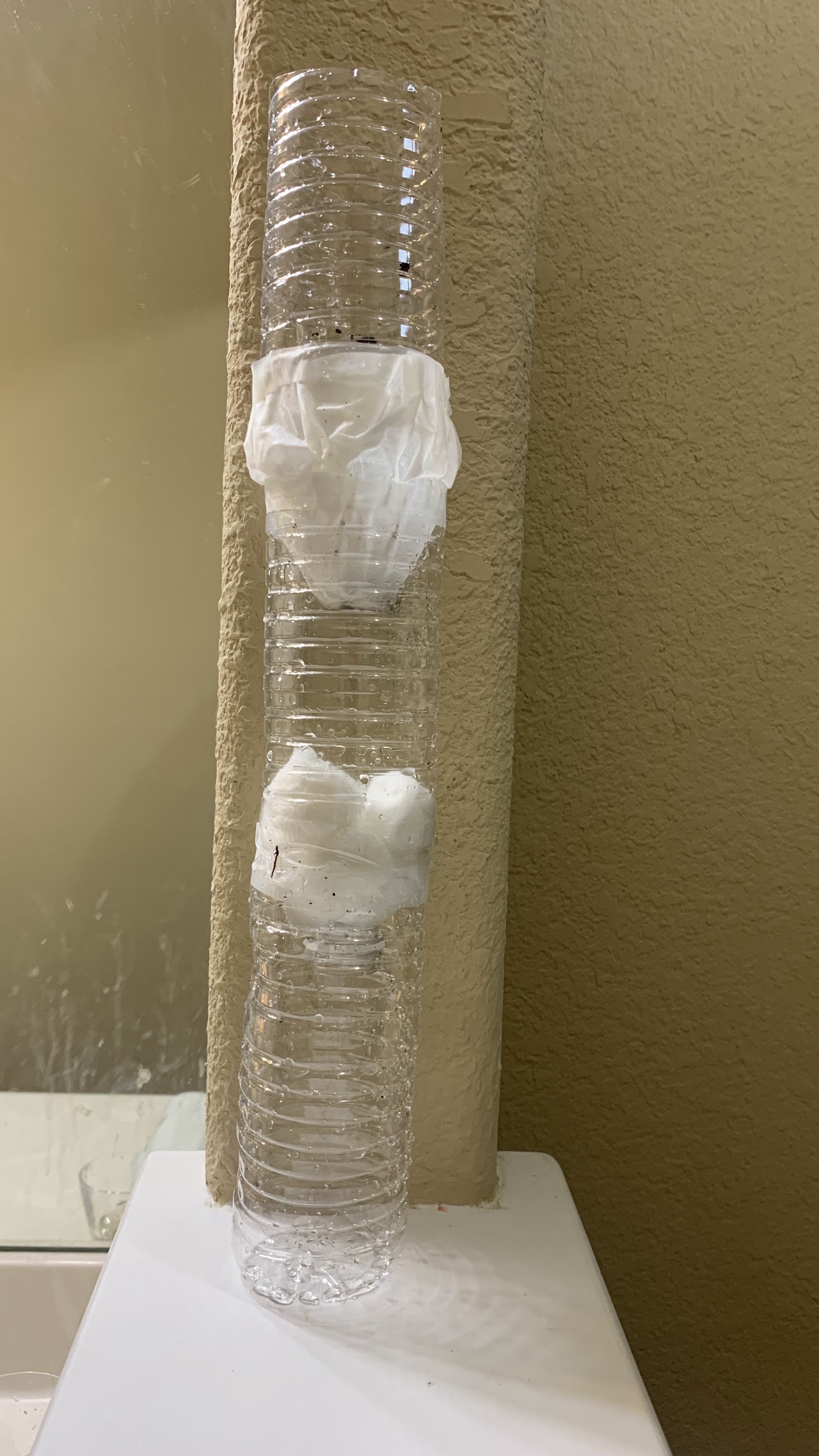 Water Quality | Devpost