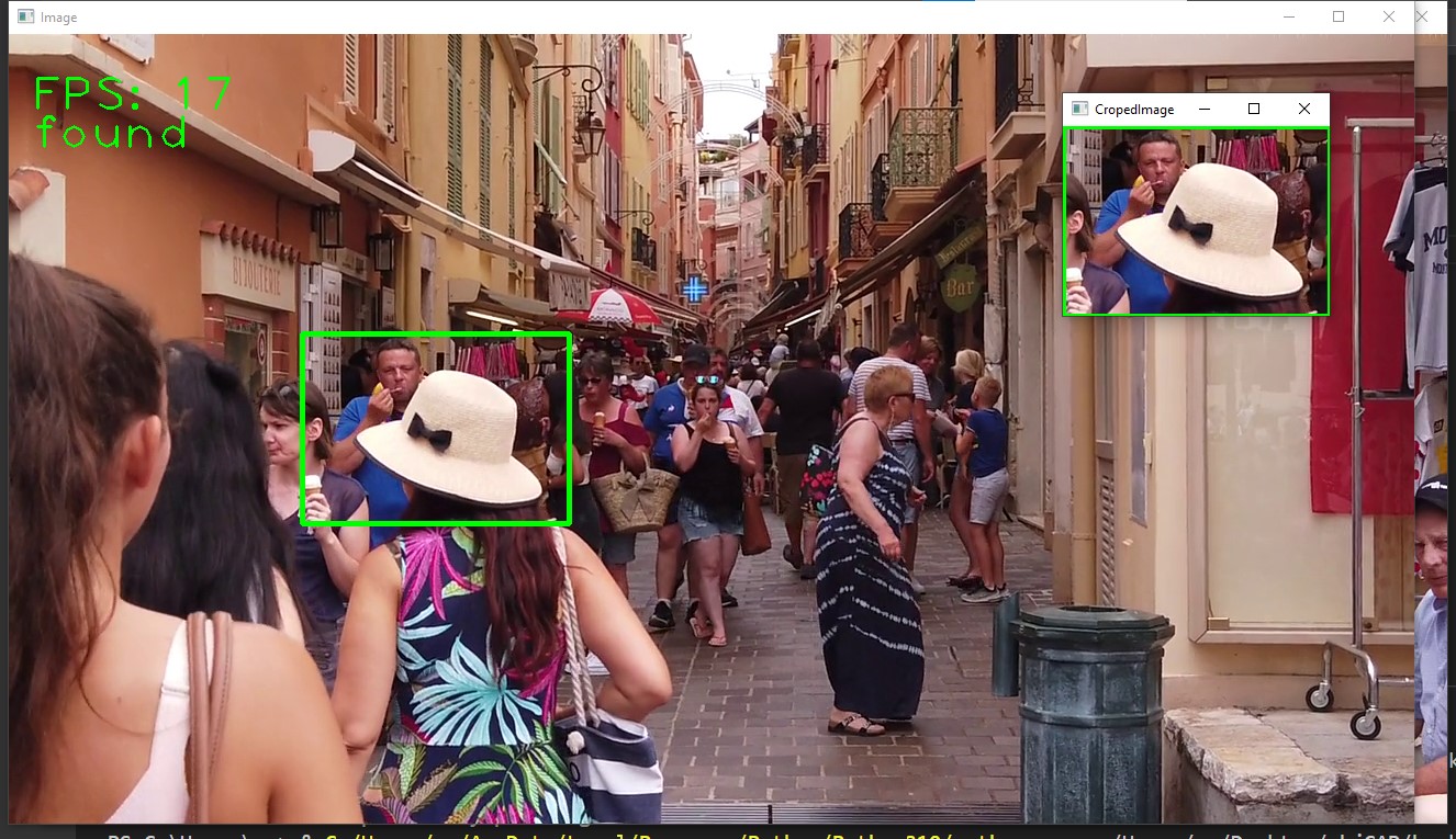 Object Detection Devpost