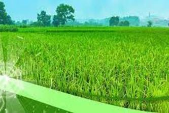 Crop Tech Agriculture | Devpost