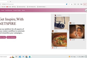 NetSpire (Influencer Marketing Hub) | Devpost