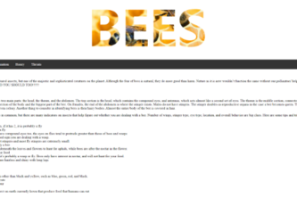 A Bee-autiful Site | Devpost