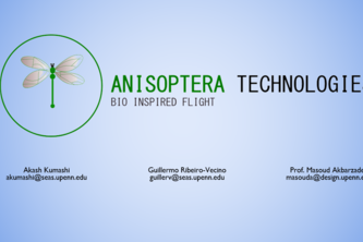 Anisoptera Technologies | Devpost