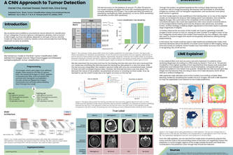 Brain Tumor imaging | Devpost
