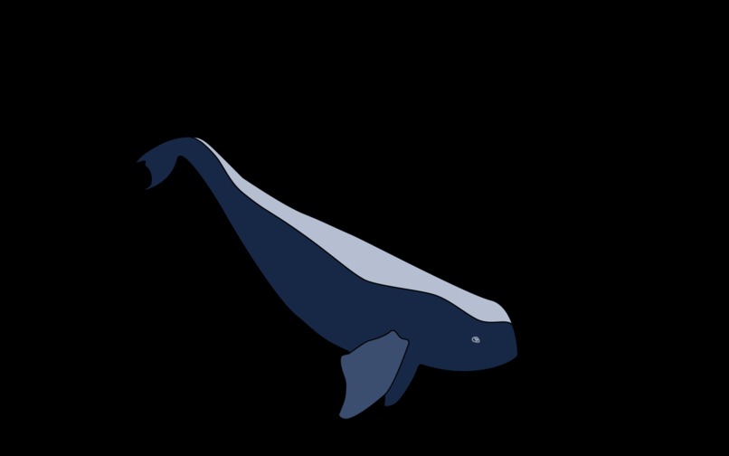 Wacky the Whale: Waste Warning! | Devpost