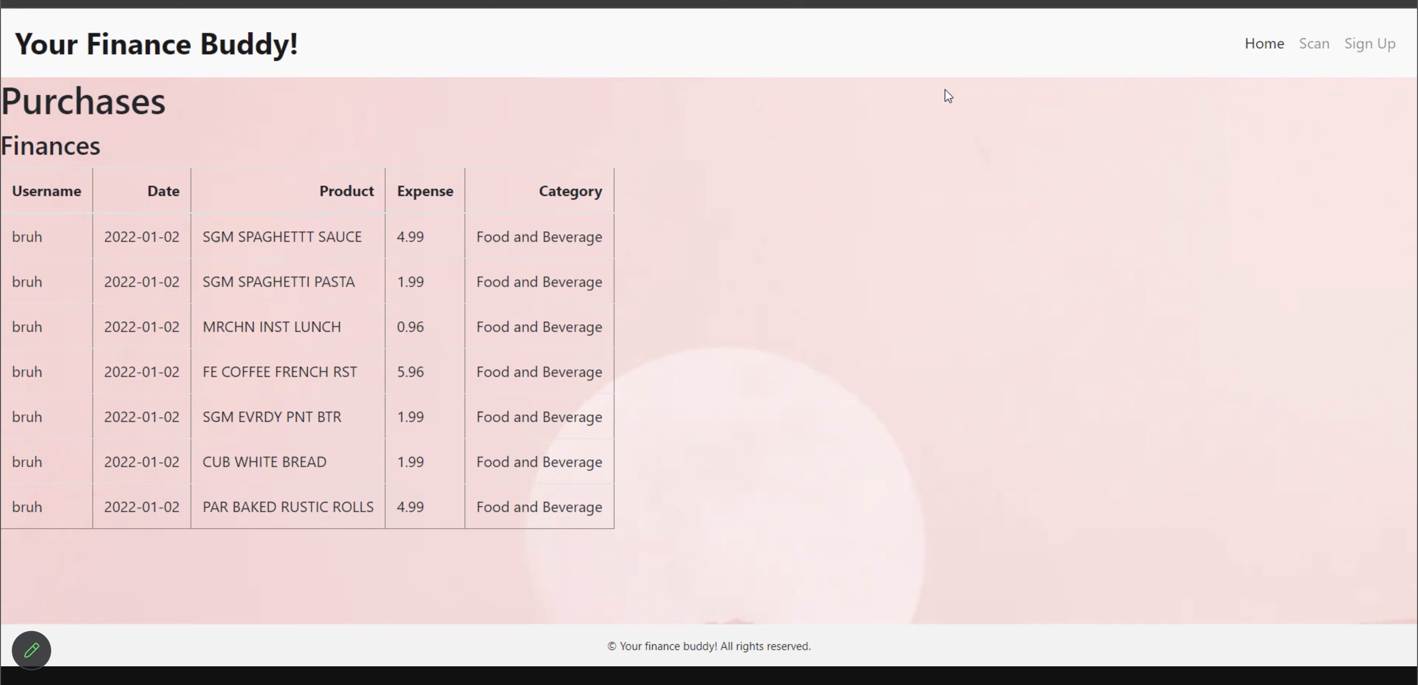 Your Finance Buddy! | Devpost