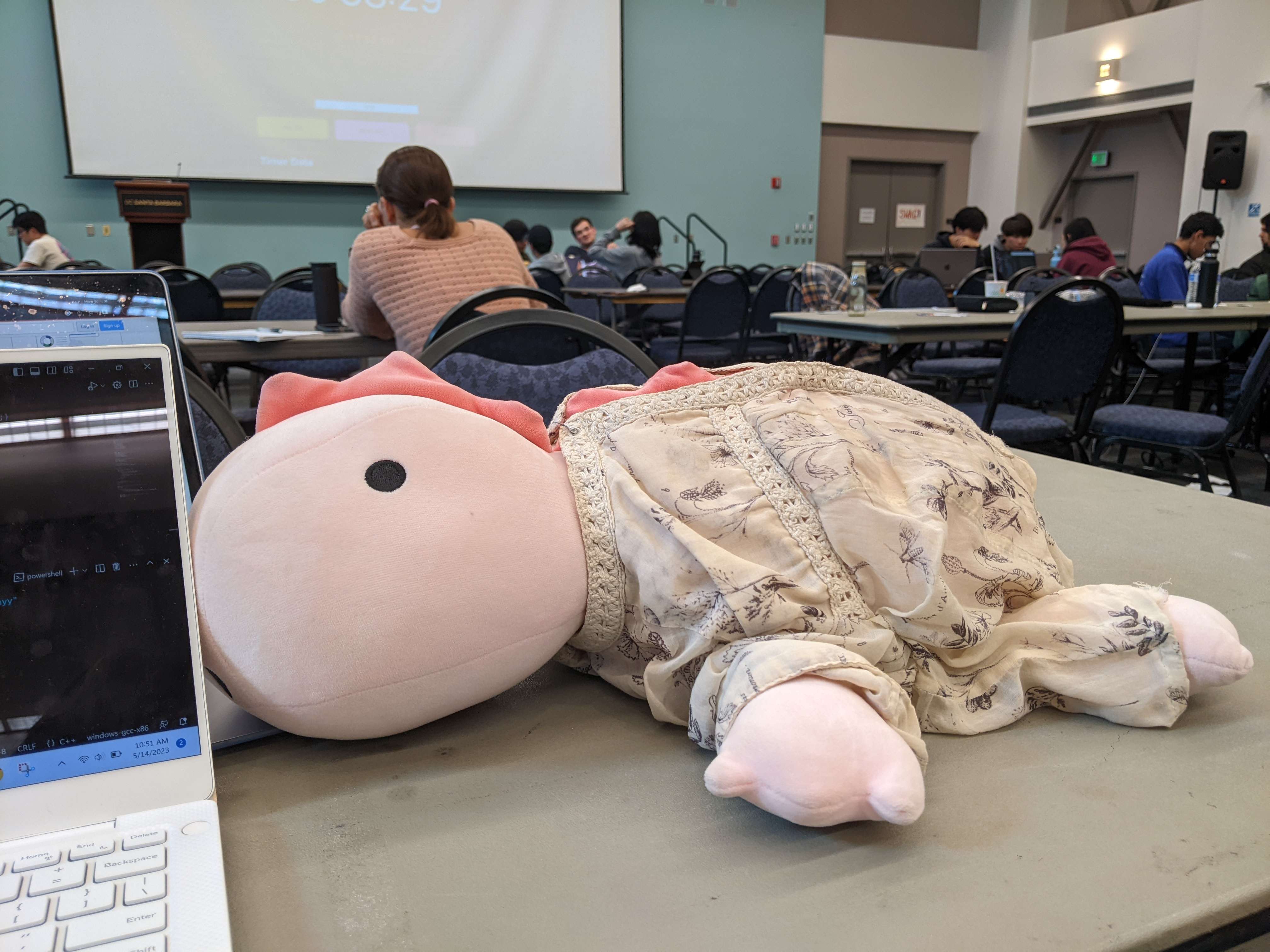 Bingle Bertha Birth Botanical | Devpost