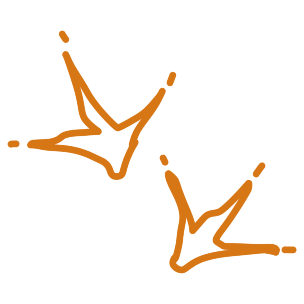 Trek Check | Devpost