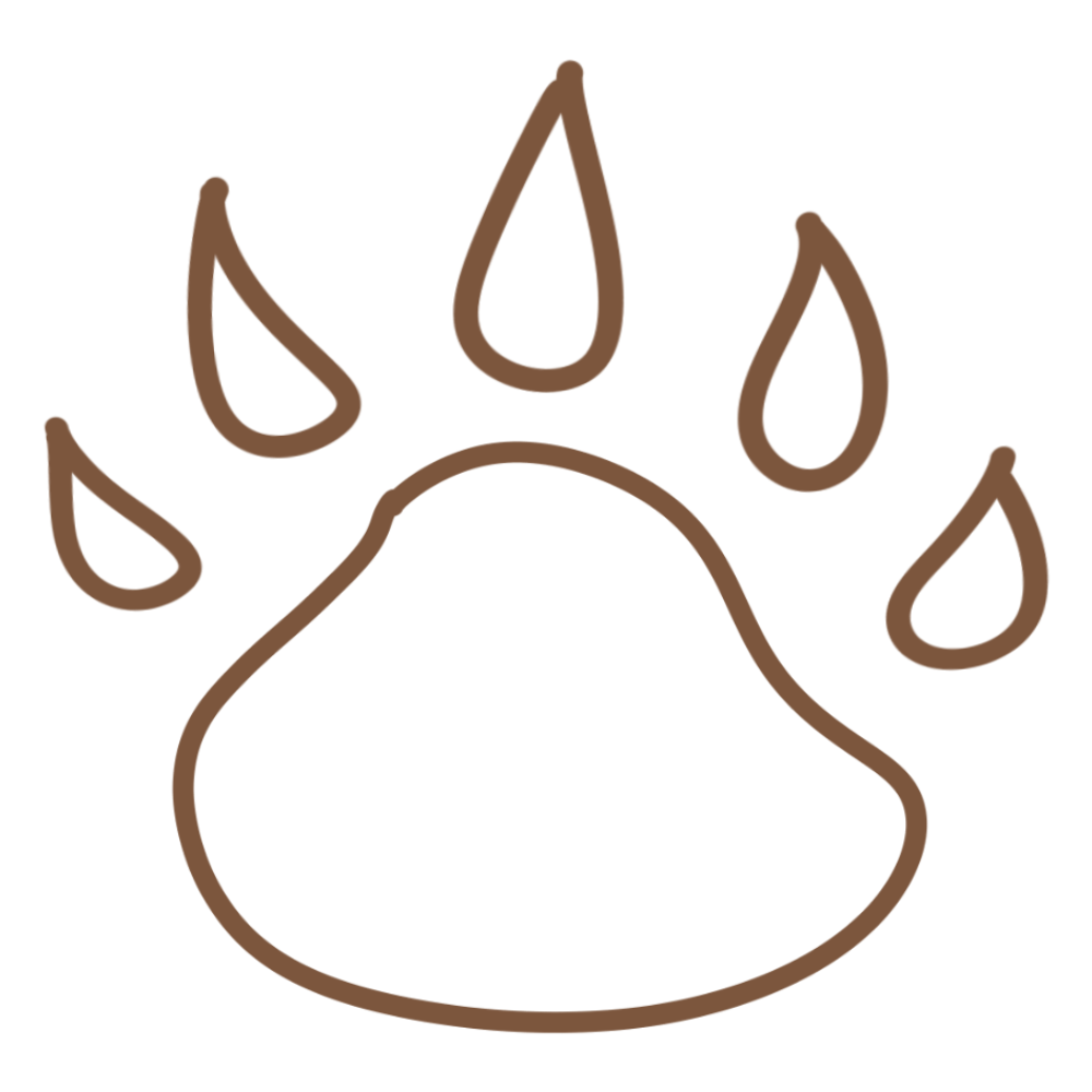 Trek Check | Devpost