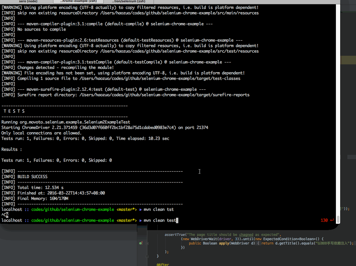 Building And Executing Selenium Project Devpost 0183
