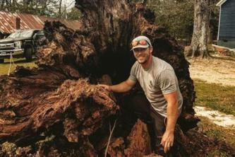 Elite Tree Care | Devpost