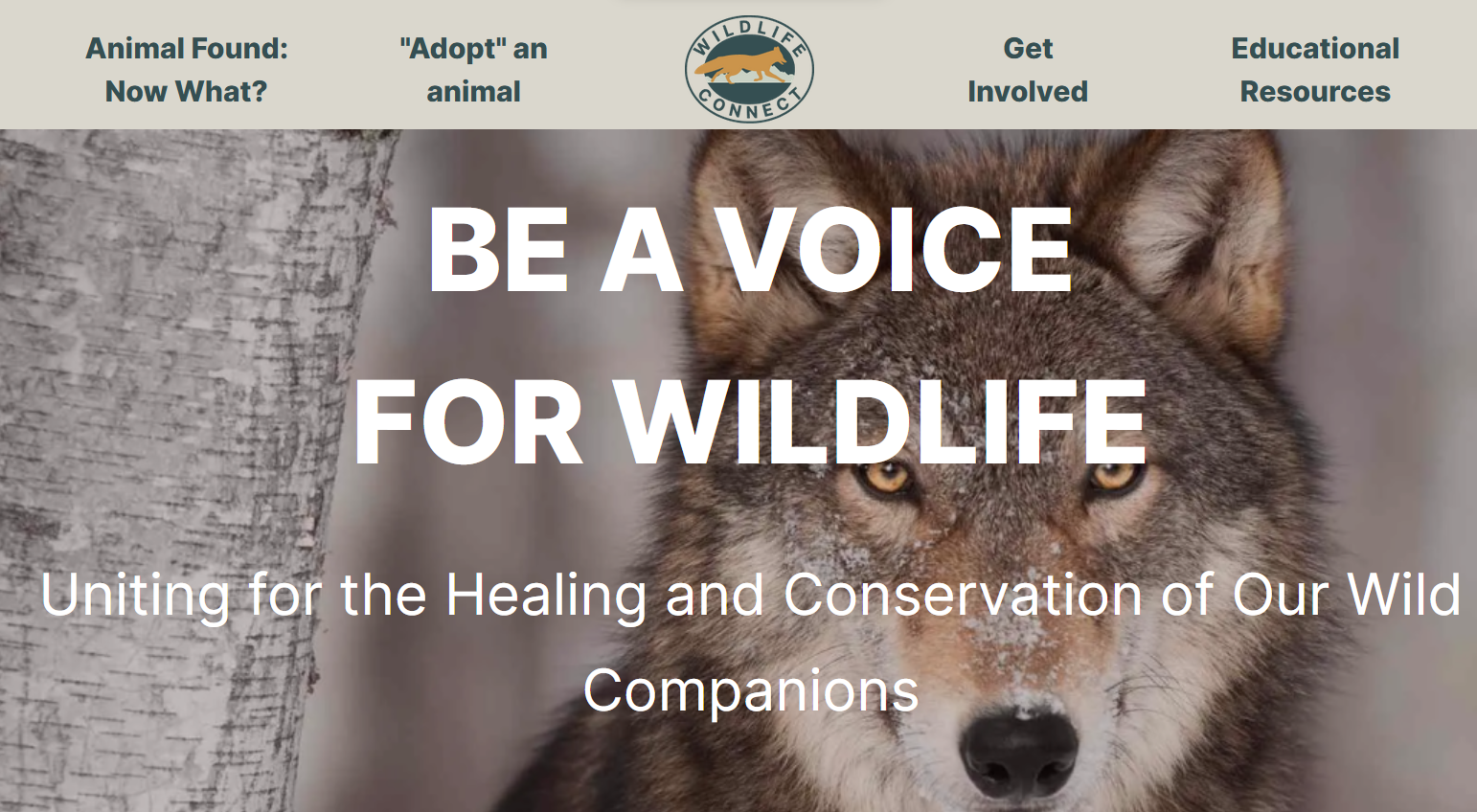 Wildlife Connect | Devpost