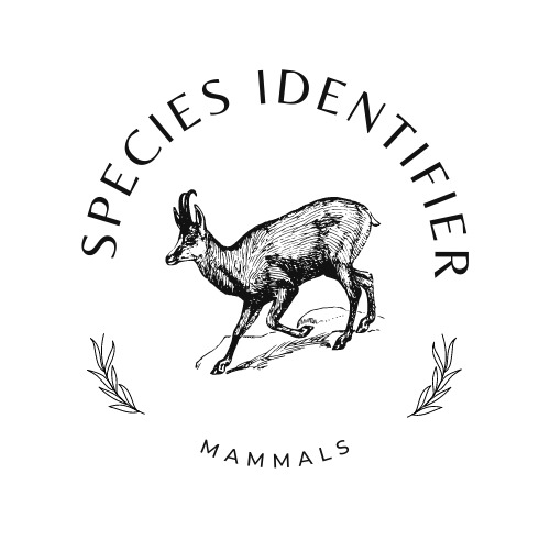 Species Identification to assist Biodiversity Conservation | Devpost