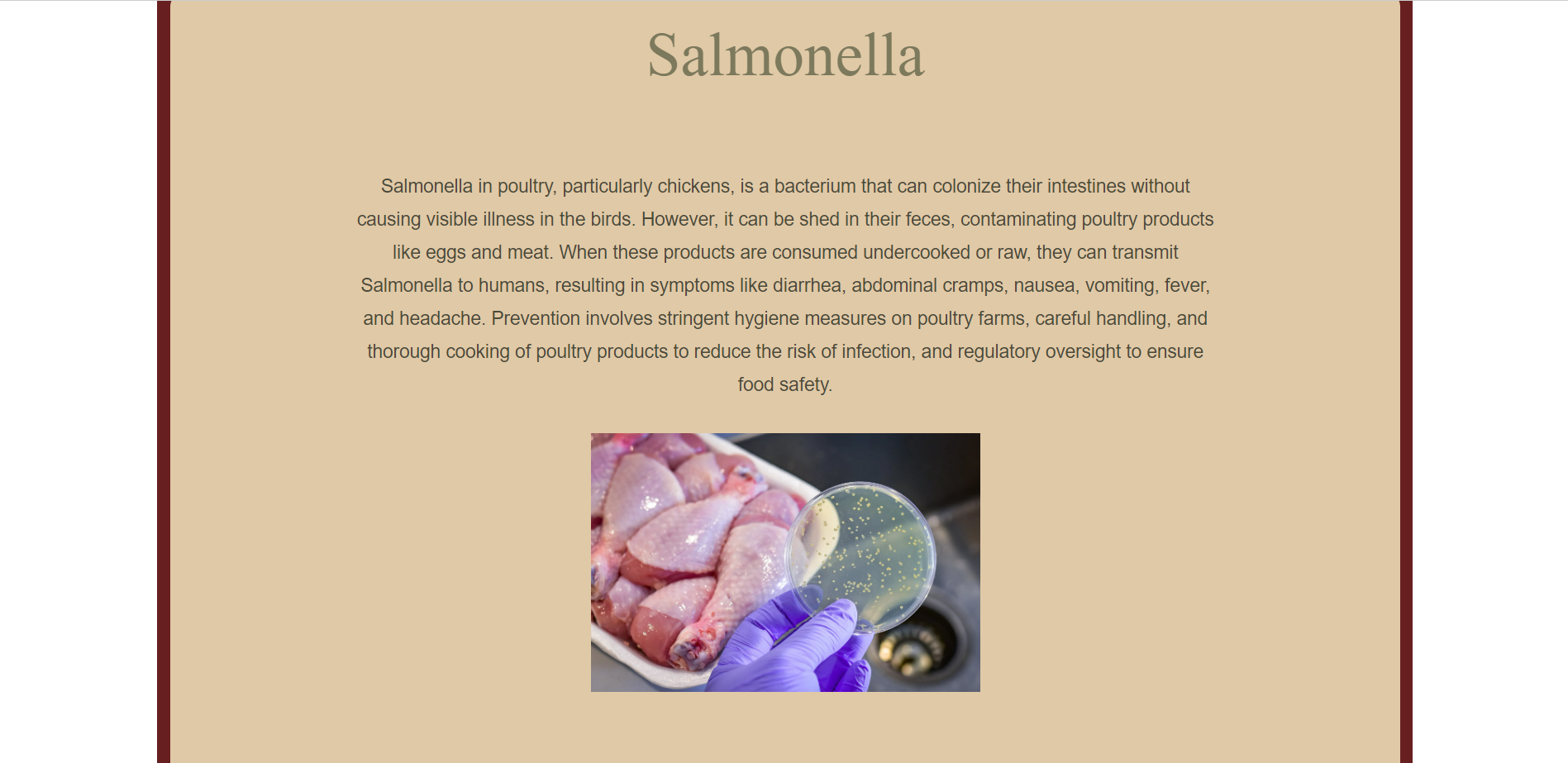 Chicken Saviour | Devpost