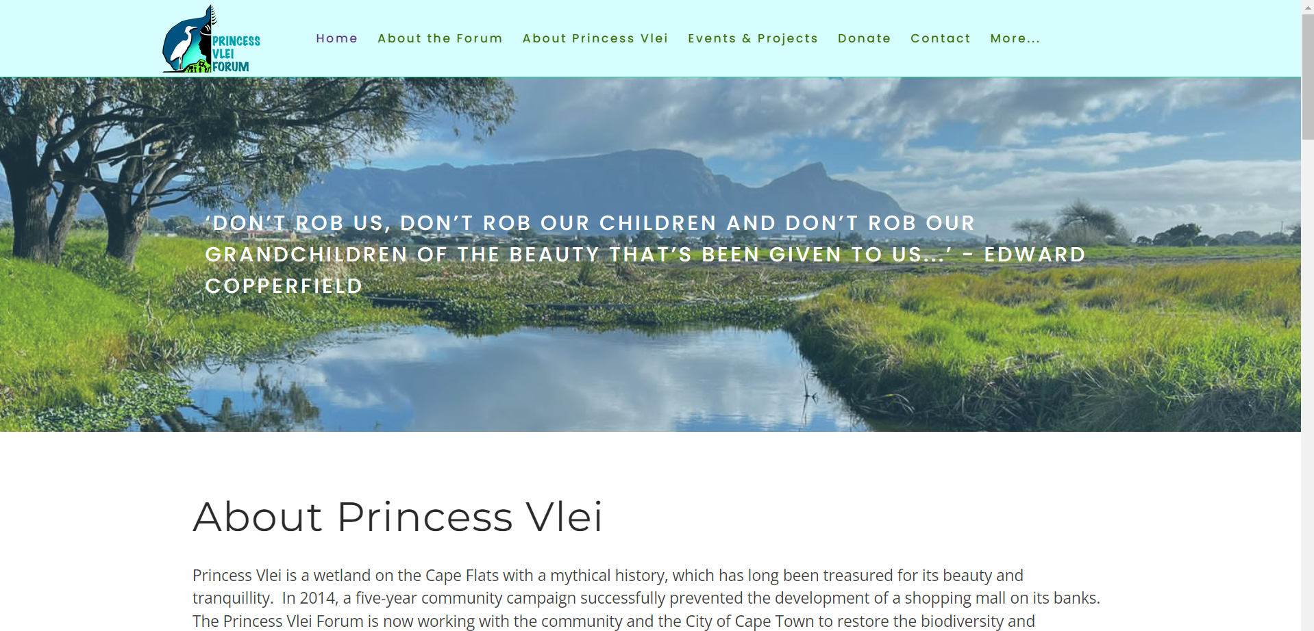 Princess Vlei Forum Internship | Devpost