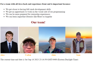 Our Front End Project | Devpost