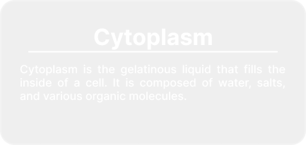 Animal Cell-Augmented Reality MeyRAR | Devpost